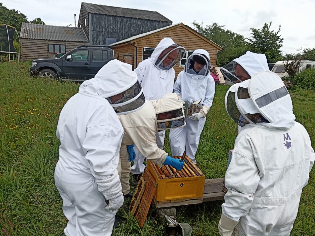 Practical Beekeeping - The Basics - Bishops Bees